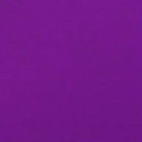Siser P.S / Easyweed HTV - Fluorescent Purple 30cm x 1m Roll – The ...
